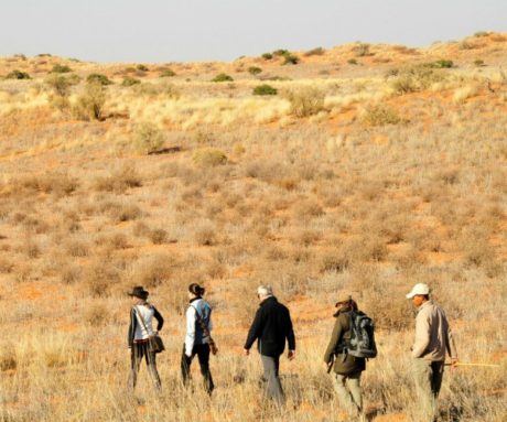 8 reasons why you should walk with a bushman - A Luxury Travel Blog