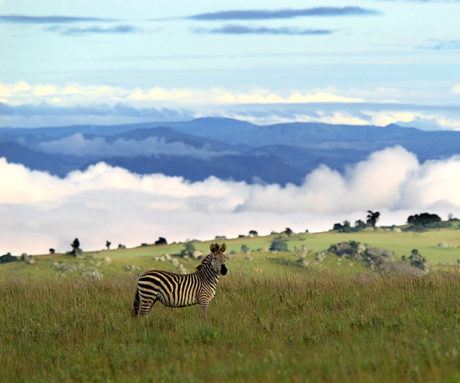 Malawi's varied attractions: wildlife, culture, landscape and lake - A ...