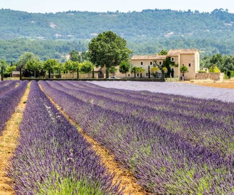 April to September in Provence - A Luxury Travel Blog