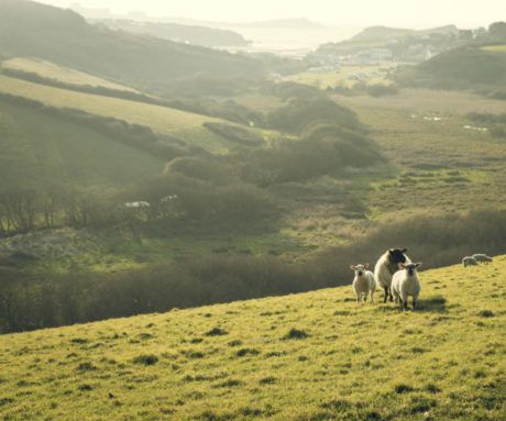 5 photos to get you excited for Spring in the UK - A Luxury Travel Blog