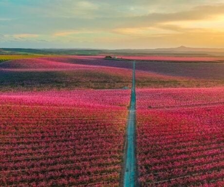 5 best ways to spend spring in Spain - A Luxury Travel Blog