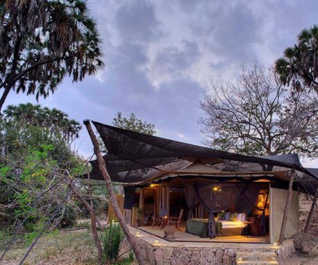 The best camps in the Selous - A Luxury Travel Blog