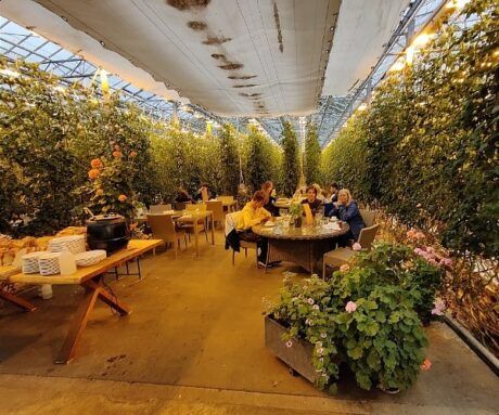 The Icelandic greenhouse restaurant where everything on the menu is ...