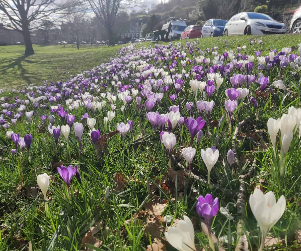 10 interesting things you maybe didn't know about Kendal in north-west ...