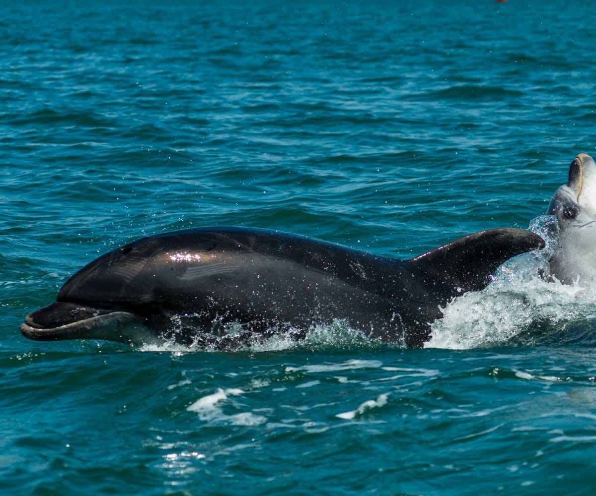Experience the best of Arrábida and the Setúbal Peninsula - A Luxury ...