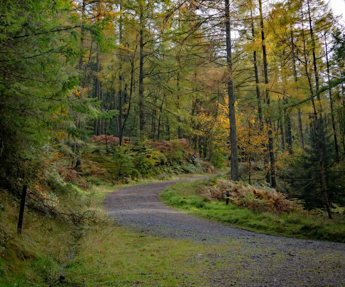 Short, accessible walks in the southern Lake District - A Luxury Travel ...