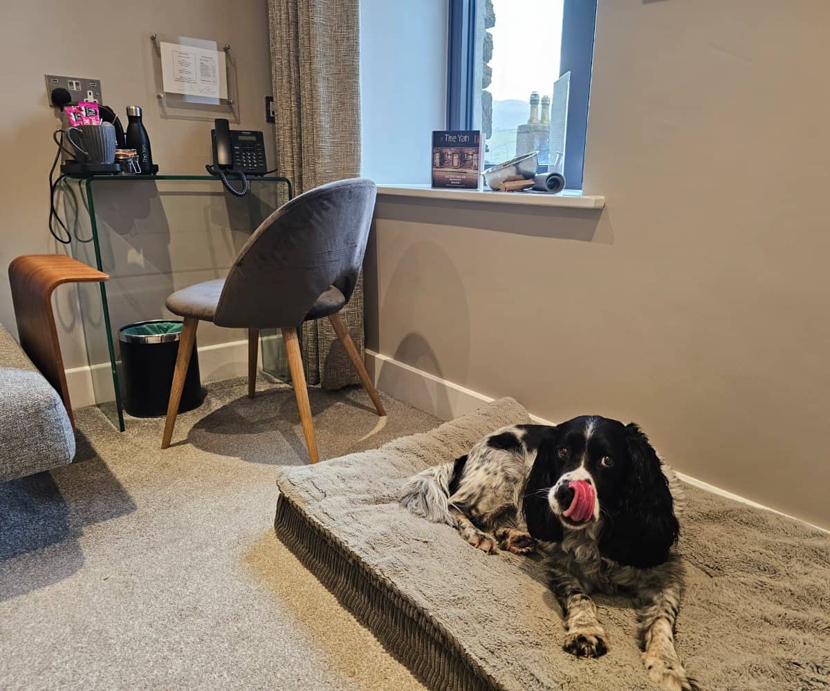 Review: The Yan at Broadrayne, Grasmere, Lake District, UK - A Luxury ...