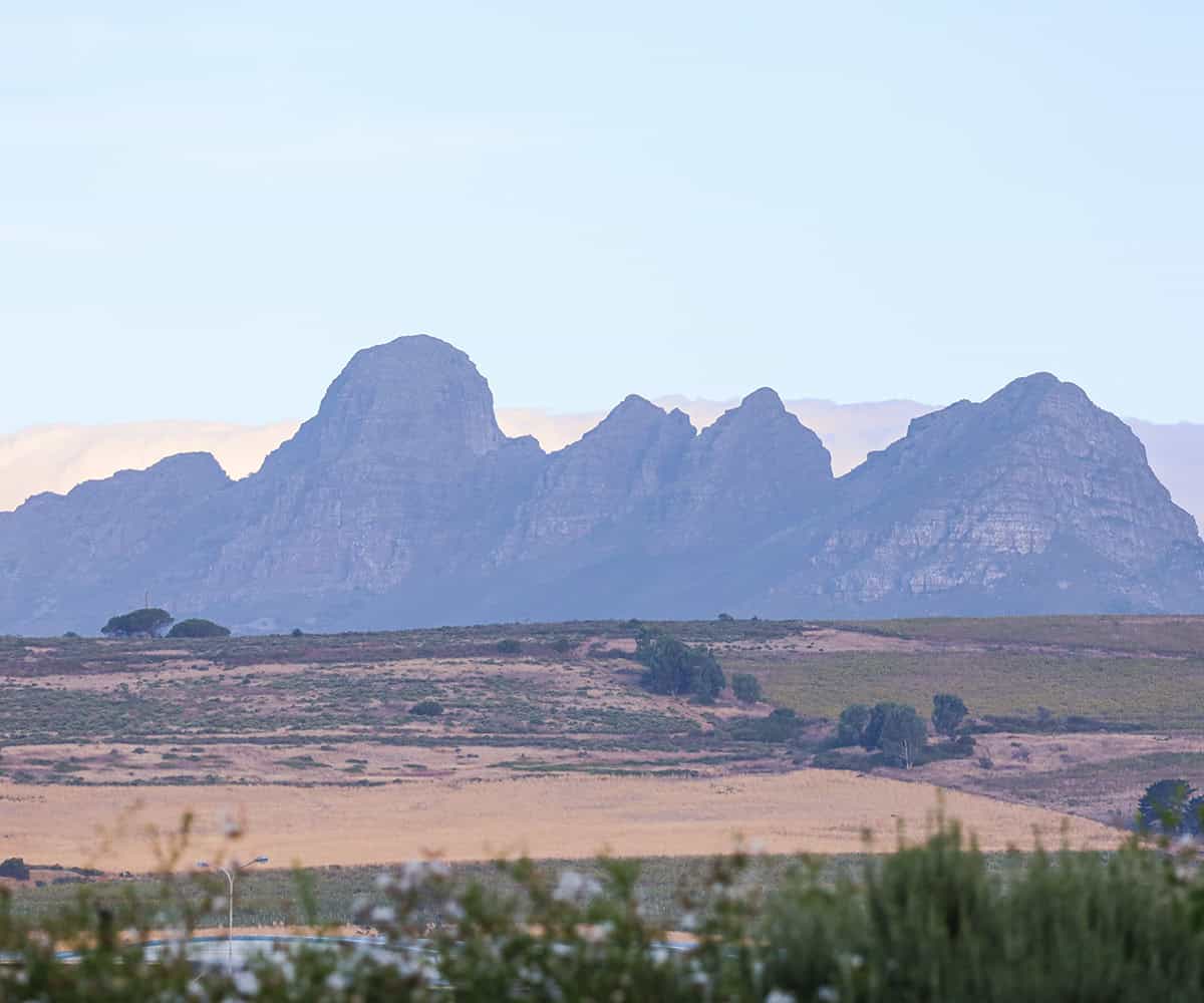 Review: Vergenoegd Löw, Stellenbosch, Cape Winelands, South Africa ...